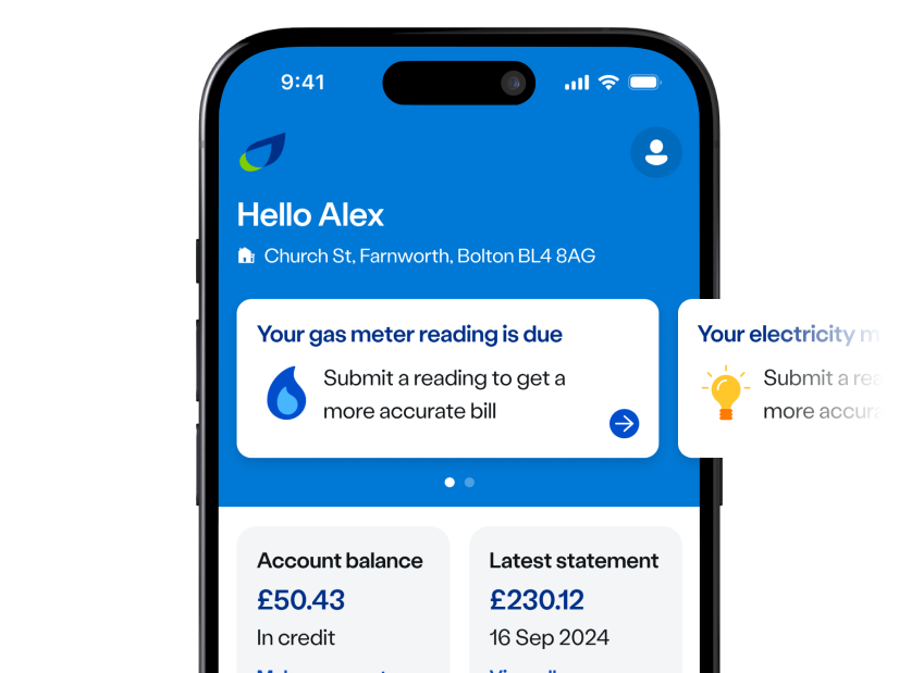 Switch to british gas store