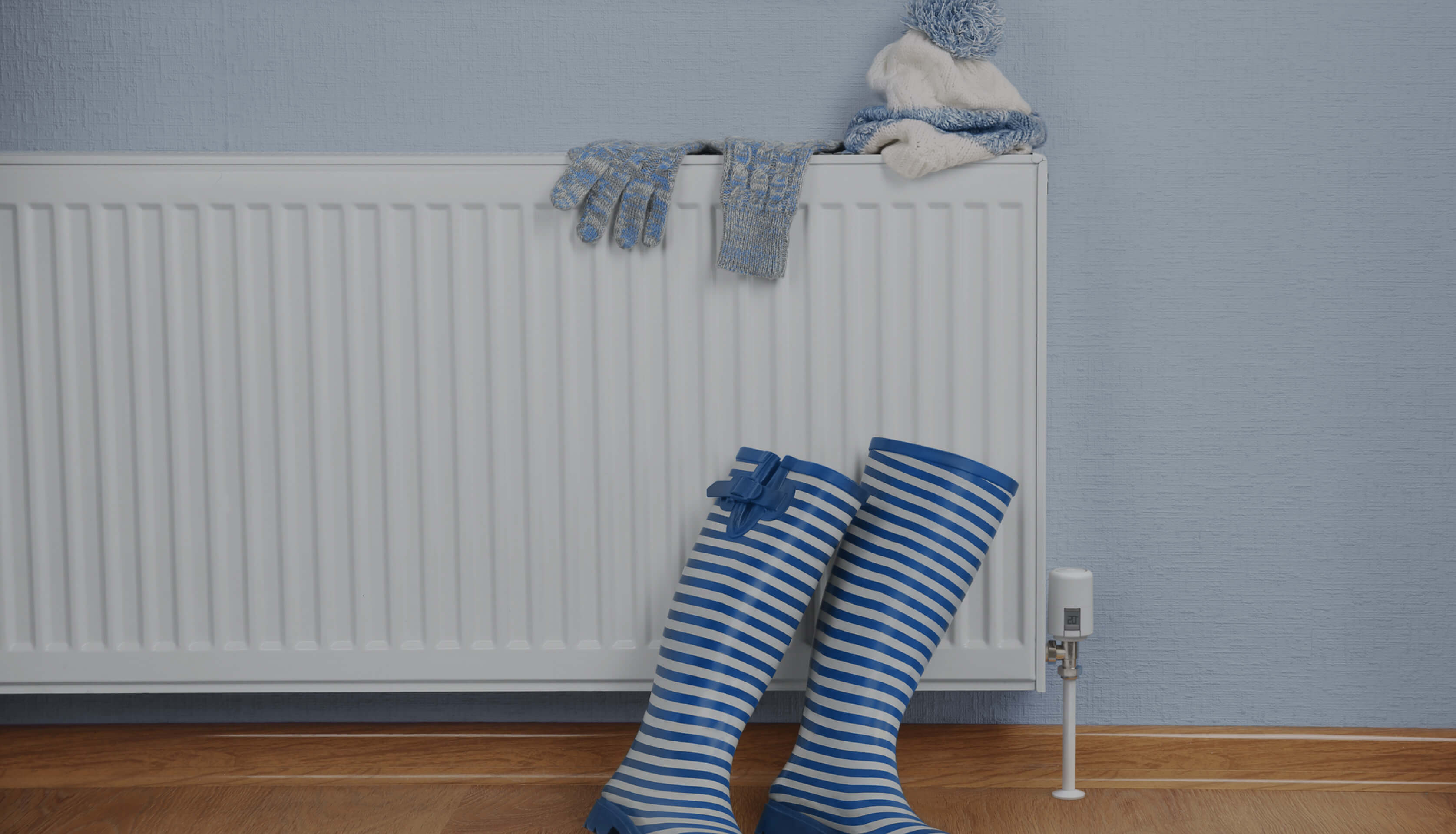 Hive Radiator Valve | Hive Home